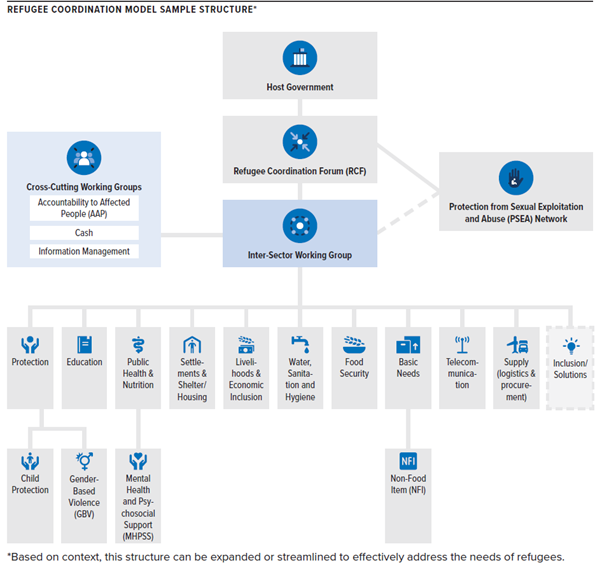Coordination on Protection from Sexual Exploitation and Abuse (PSEA) | UNHCR